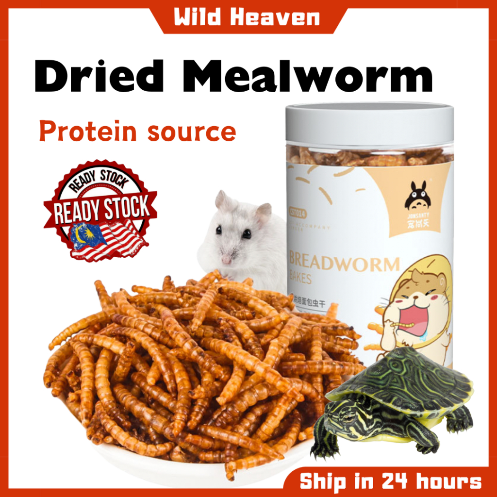 Dried Mealworm Turtle Treat Food Sugar Glider Bird Feed Kura Makanan ...