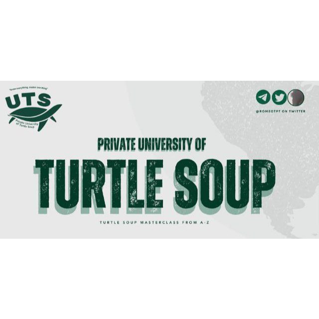 Romeo's University of Turtle Soup 2024 (ICT Concepts) | Shopee Malaysia