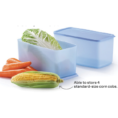 (2pcs) TUPPERWARE DOUBLE SO FRESH RECTANGULAR 3.1L | Shopee Malaysia