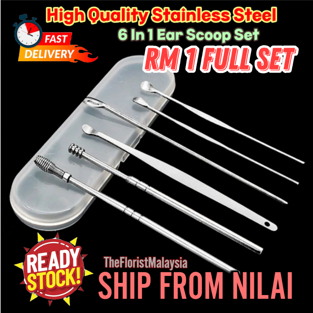 🔥𝑹𝑬𝑨𝑫𝒀 𝑺𝑻𝑶𝑪𝑲🔥{Stainless Steel} Ear Scoop 6 Piece Set of Ear Scoop ...