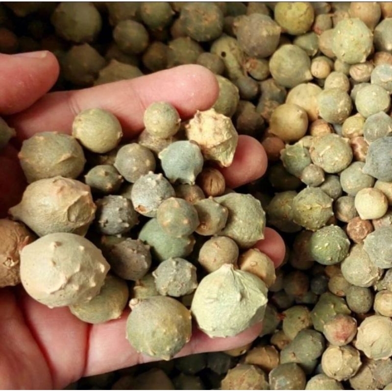 BUAH MANJAKANI (50 grm/ 100 grm) | Shopee Malaysia