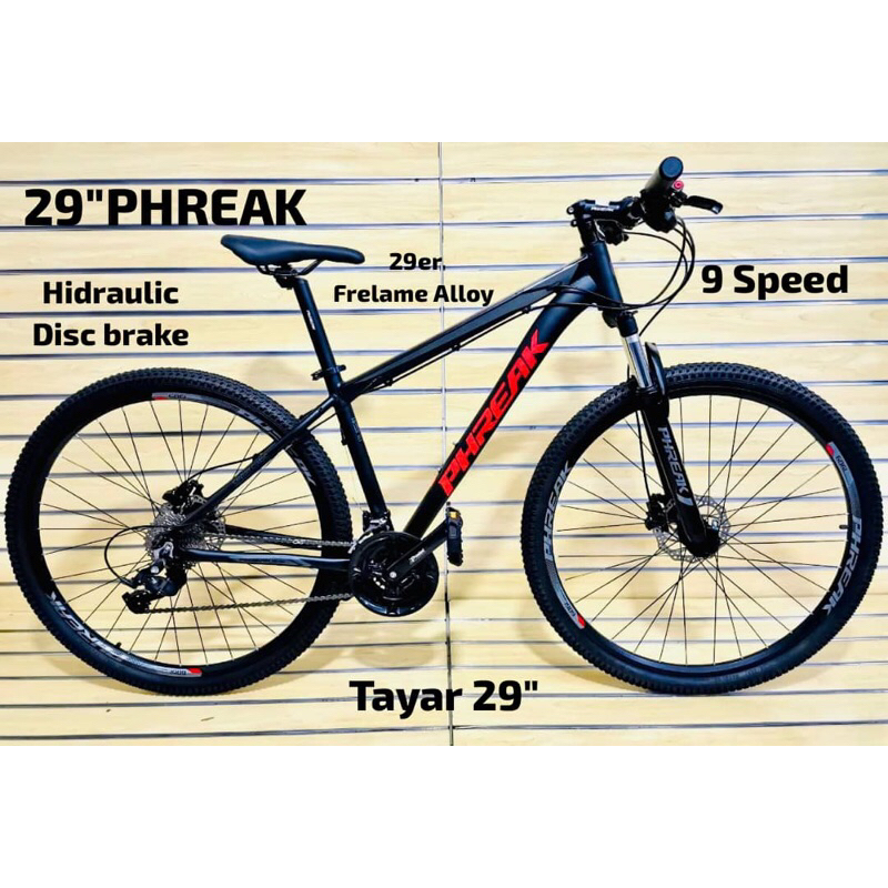 BASIKAL DEWASA / BASIKAL GEAR / BICYCLE 29'' ARGUS CHEETEH ALLOY MTB 2 ...
