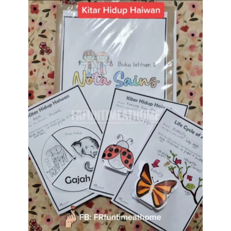 [PRINTABLE PDF] KITAR HIDUP HAIWAN/LIFE CYCLE OF ANIMALS Saims Tahun 2 ...