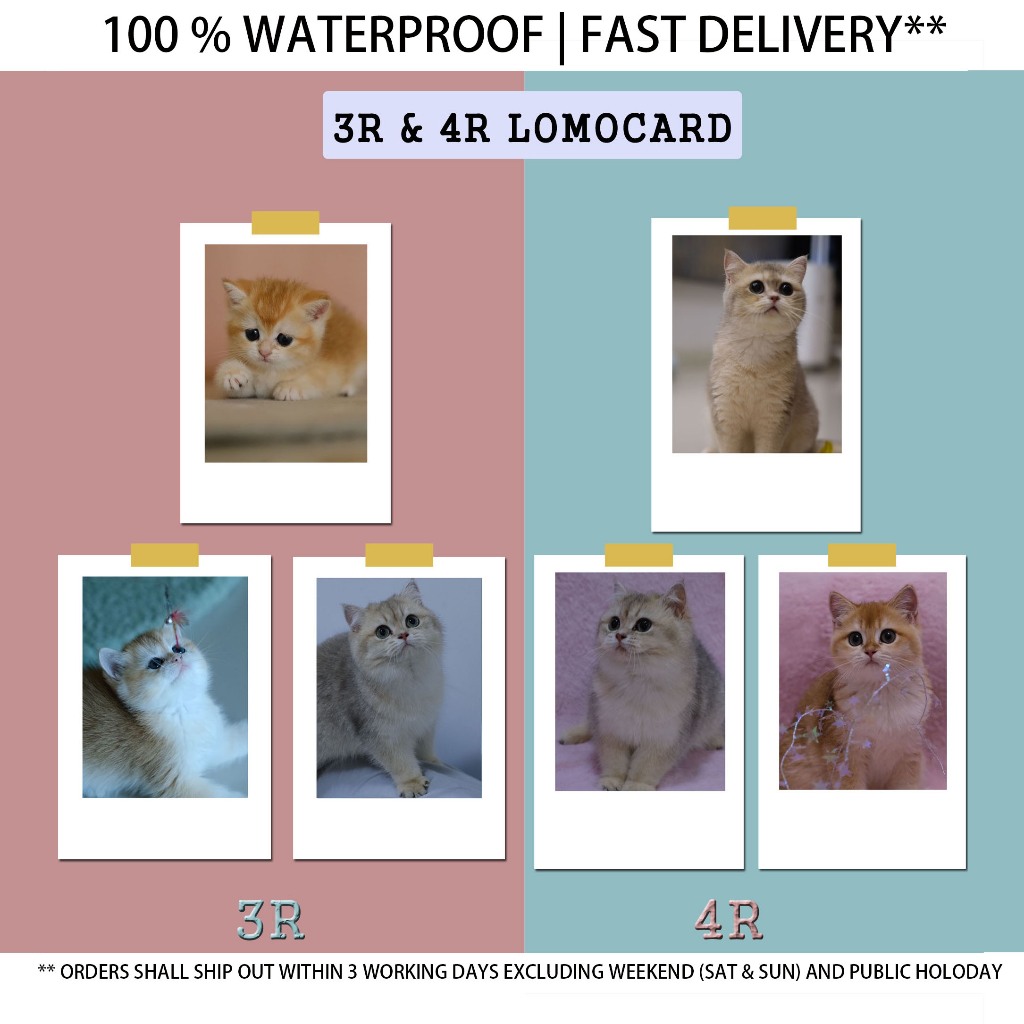 100% Waterproof | 3R Lomo Card | 4R Lomo Card | Lomo Prints | Lomo Card ...