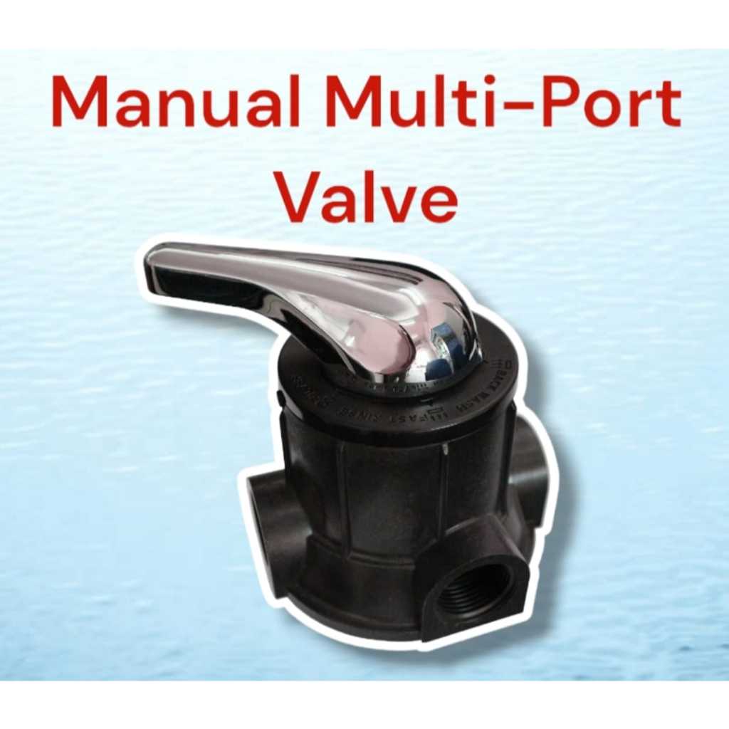 MPV Manual Multi-port (Multiport) Valve Black Head / Stainless steel ...