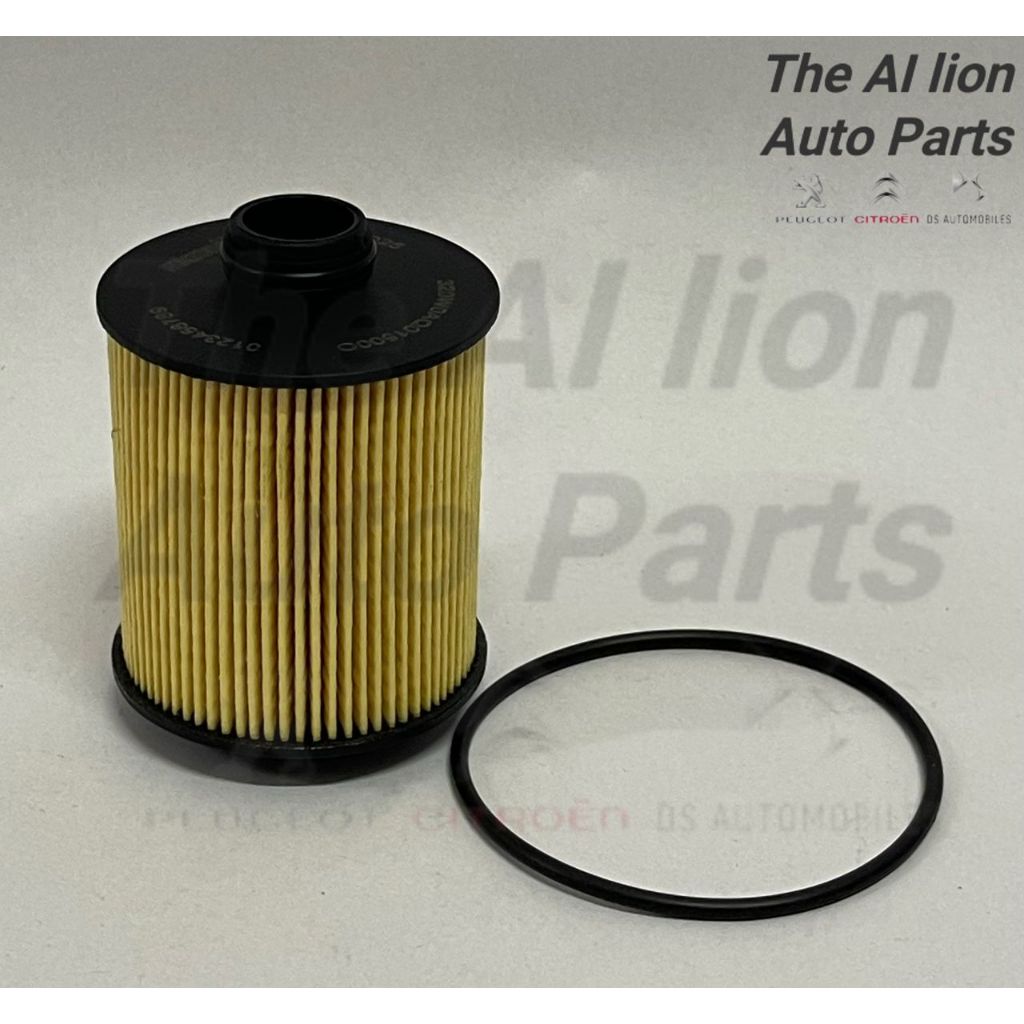 Oil Filter (1612565980) for Peugeot 308 T9 408 T93 3008 P84 5008 P87 ...