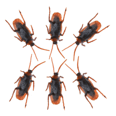 Premium Quality Cockroach 5 PCs Fake Cockroach Realistic Plastic Roach ...
