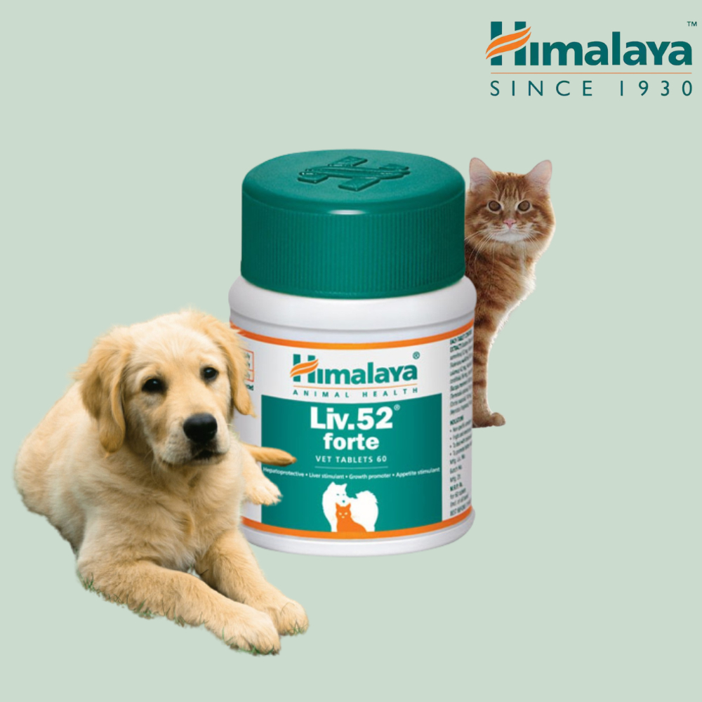 Himalaya Liv.52 Forte 60 Tablets (Cats, Dogs) | Shopee Malaysia