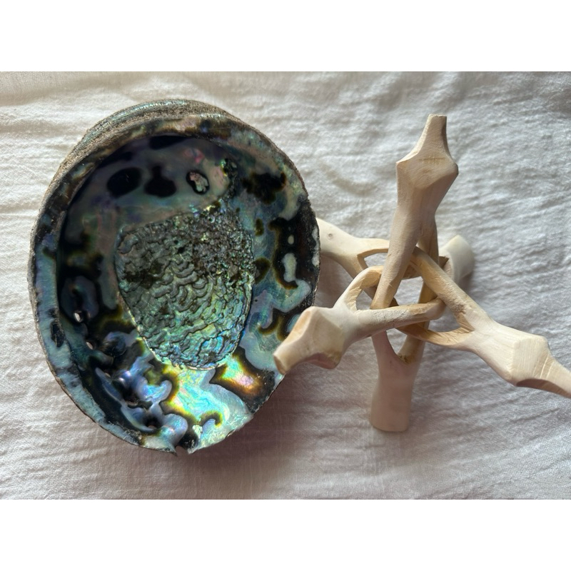 large abalone shell burner stand( 16.5cm-17cm)鲍鱼壳配 原木支架 | Shopee Malaysia