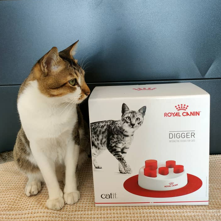 Royal Canin 42L/51L Pet Food Container 2Kg/4Kg/10Kg/15Kg Fit (Limited ...