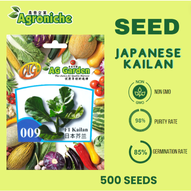500 Biji Benih/ Biji Benih Kailan Berbunga Jepun / Bukan GMO / AG 009 ...