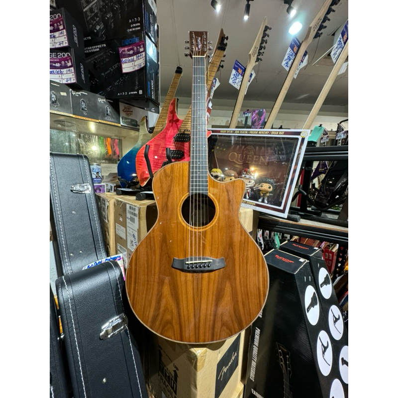 Tanglewood Solid Top TW6 CE BW Winterleaf Exotic Super Folk Acoustic ...