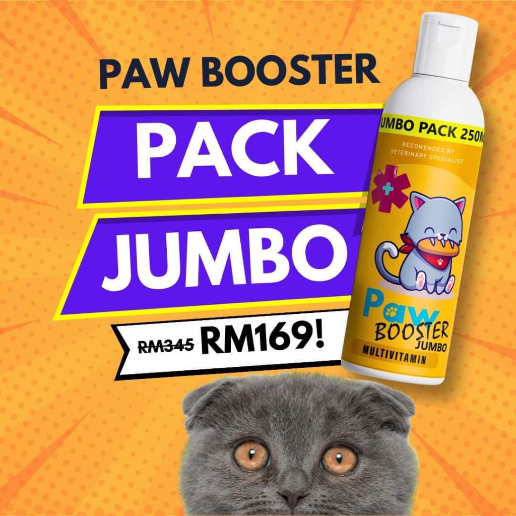🔥ORIGINAL!!🔥 FREE SHAKER‼️PAW CARE BOOSTER JUMBO PACK 250ML (BULU GUGUR ...