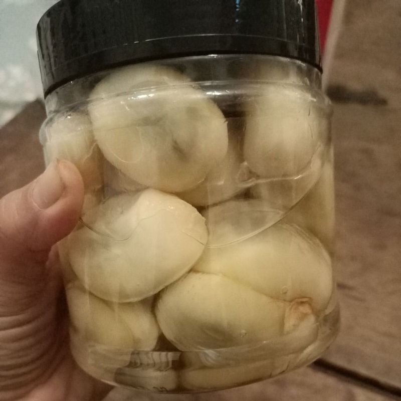 Jeruk Buah Salak homemade tanpa pengawet tambahan 500g | Shopee Malaysia