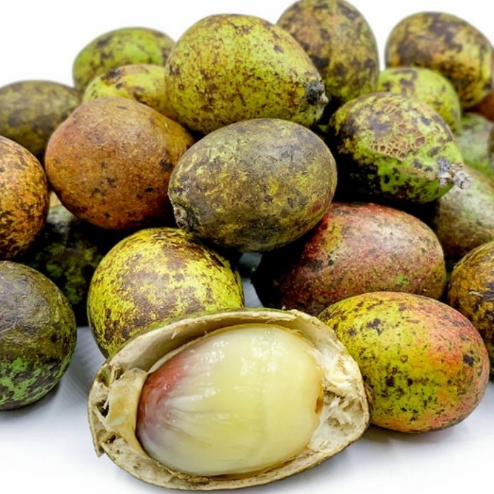 Brazil Longan / Matoa Buah 3 Rasa ( Rambutan, Durian and Longan ) Sedap ...