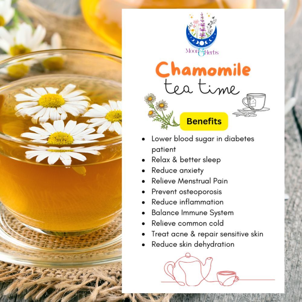 Moon & Herbs - Organic Chamomile Tea / Teh Kamomil | Shopee Malaysia