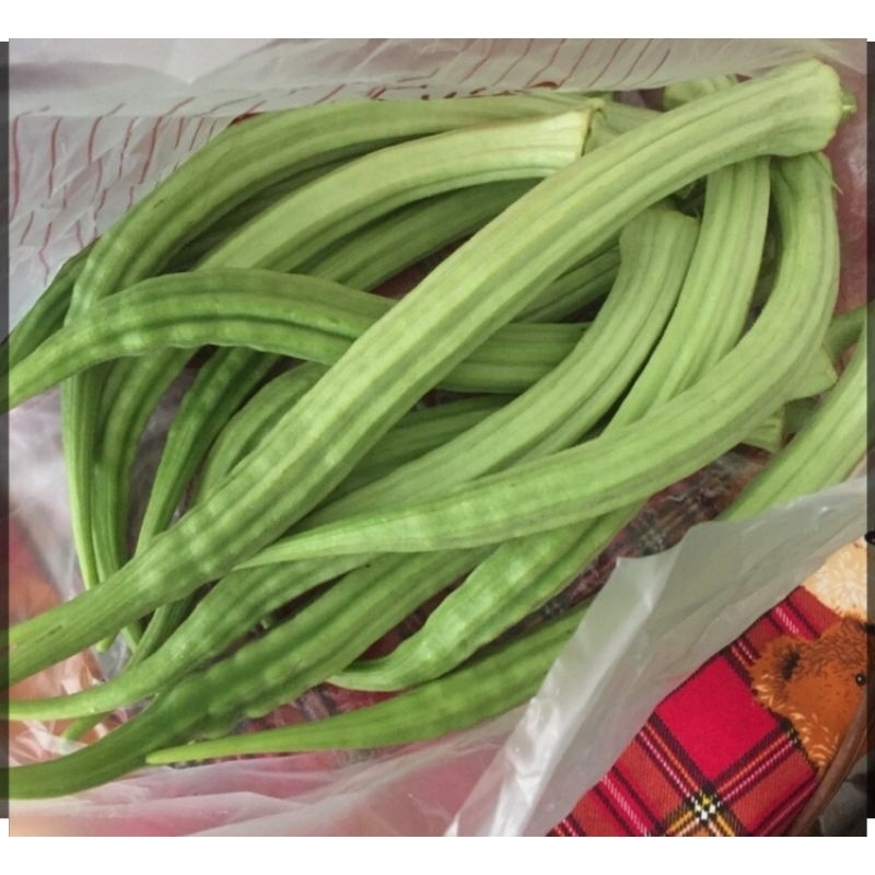 Biji Benih Bendi Panjang/Long Okra Seeds/特长羊角豆种子 | Shopee Malaysia