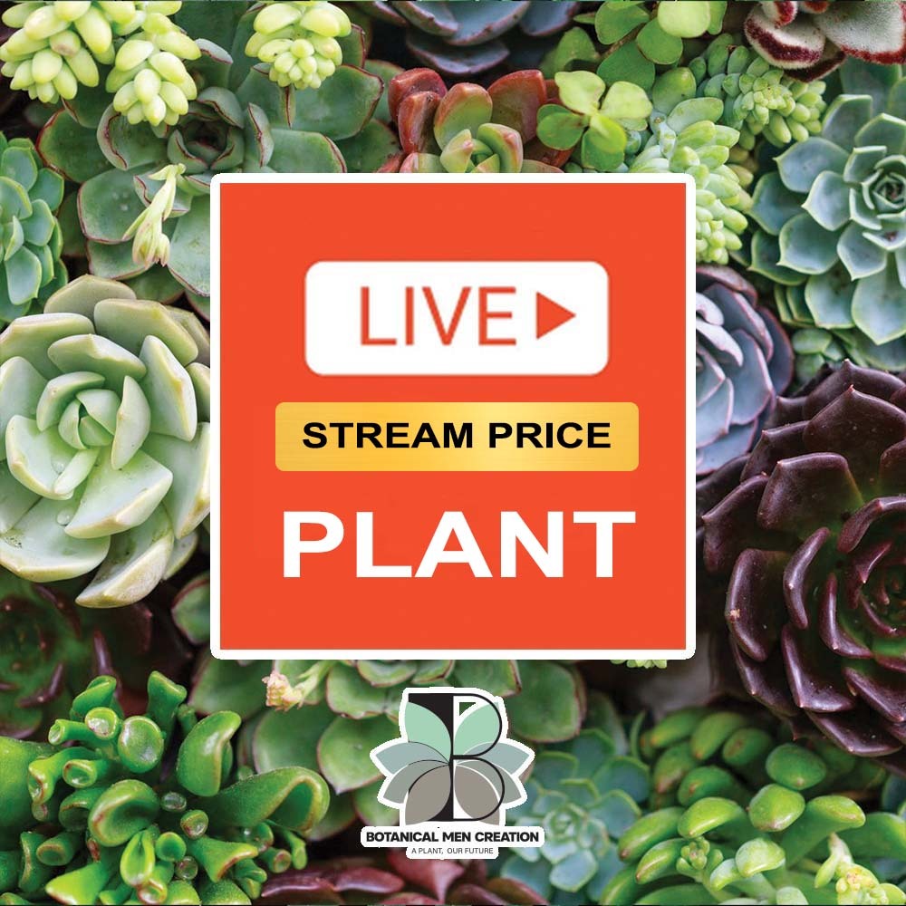 BMC LIVE STREAMING PRICE LIVE ONLY below RM100 (PLANT) | Shopee Malaysia