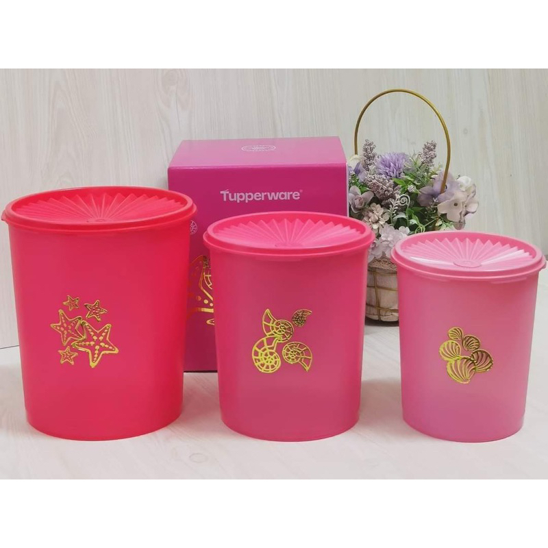 seashells deco danister tupperware | Shopee Malaysia