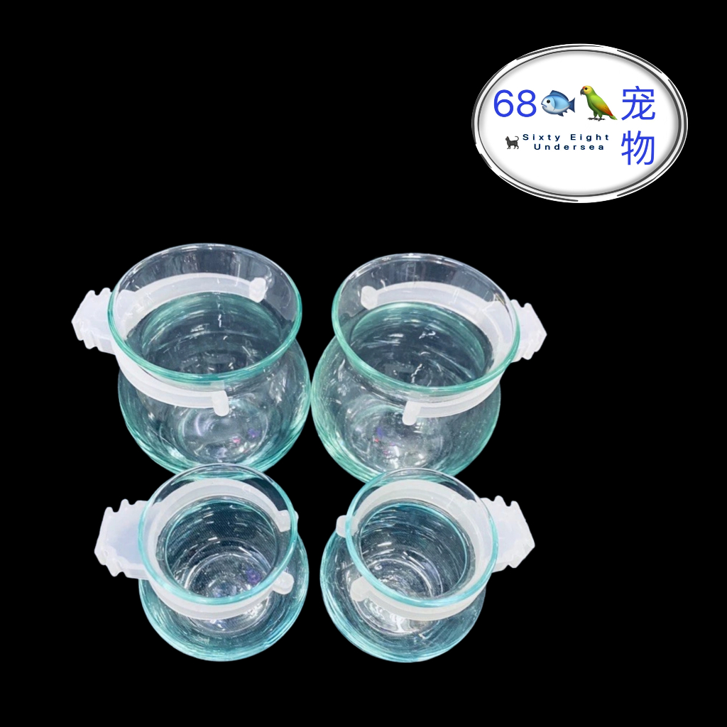 bird cup cawan kaca murai batu murai cacing dan lain2 burung | Shopee ...