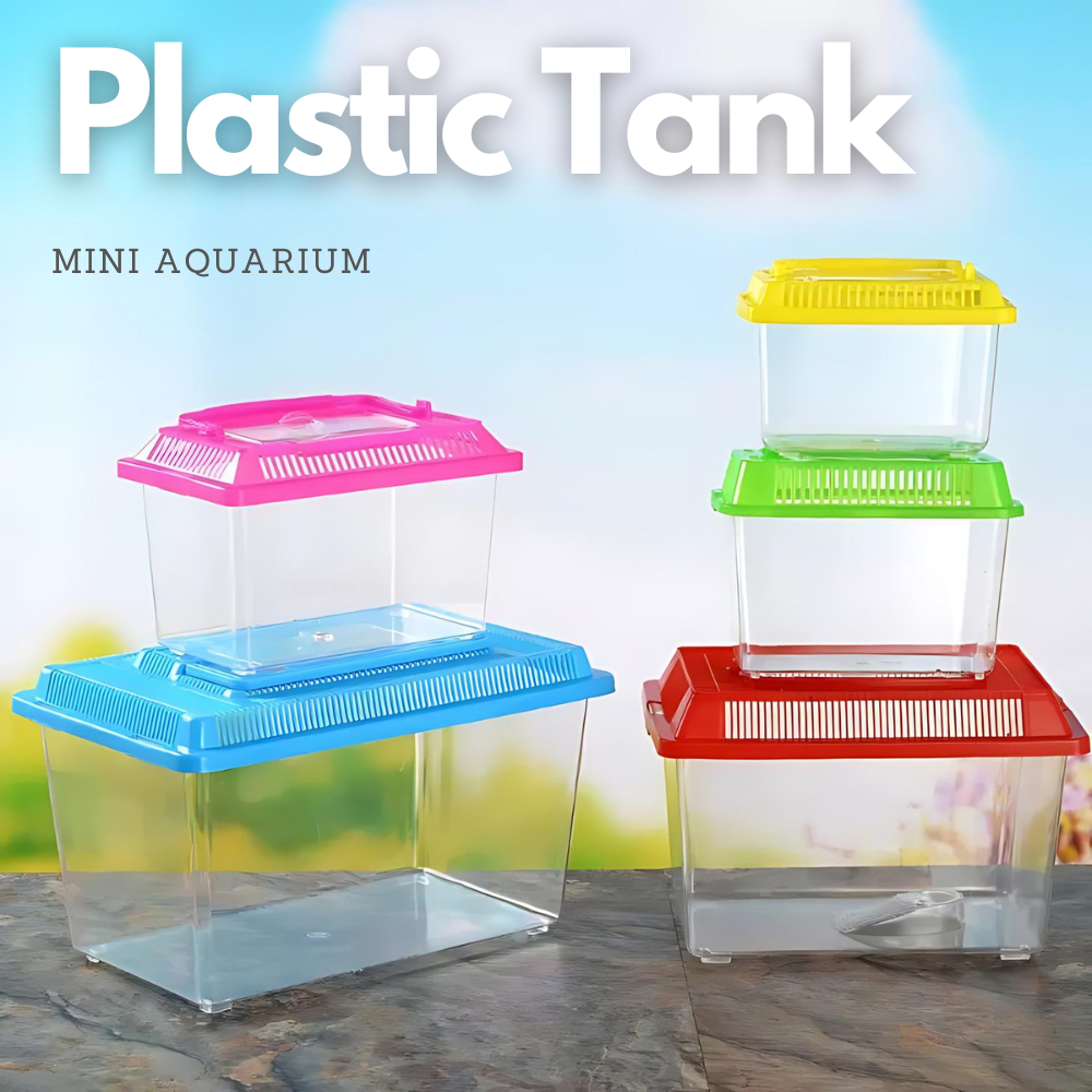 Portable Plastic Fish Tank Aquarium Betta Guppy Turtle Bekas Ikan ...