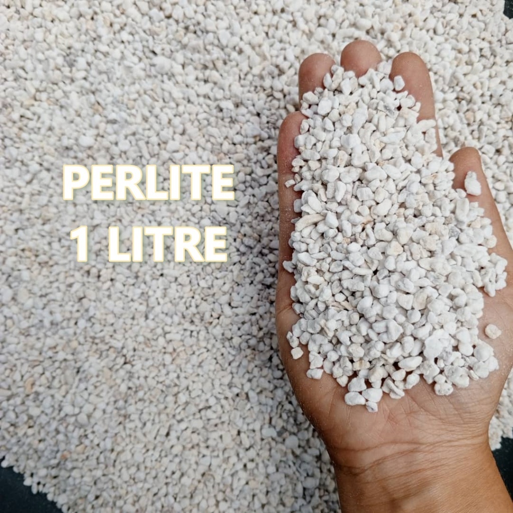 1 Litre / 4 Litre Perlite 珍珠岩 for Cactus Succulent Soil | Shopee Malaysia