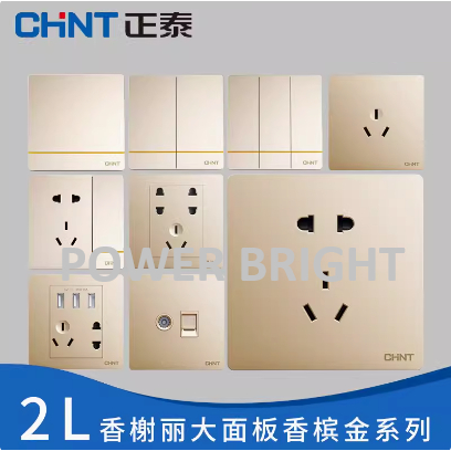 CHINT NEW2L SERIES SWITCHES (GOLD) [1G1W , 2G1W , 3G1W , 4G1W , 1G2W ...