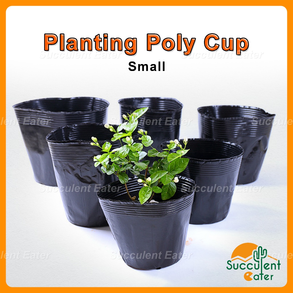 Polycup Plastic Flower Pot Plant Nursery Disposable Pasu Bunga Polybag ...