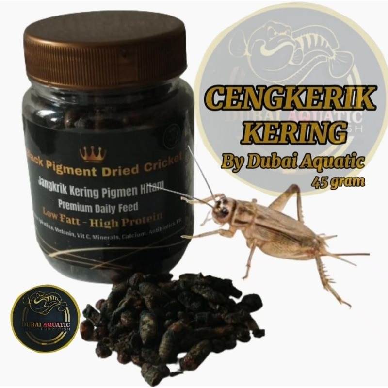 CENGKERIK Kering Pigmen Hitam by Dubai Aquatic EXTRA Spirulina Progres ...