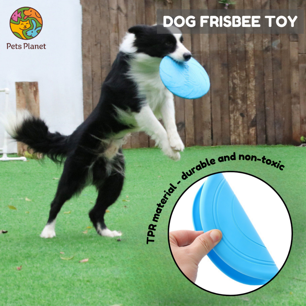 Pet Dog Frisbee | Flying Disc Flying Plate for Dog | Dog Toy | Dog ...
