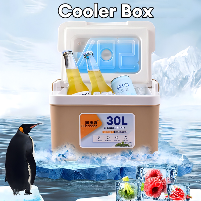 6/10L/16L/30L Cooler Box Kotak Penyejuk FREE Freezer Ice Pek Ais Food ...