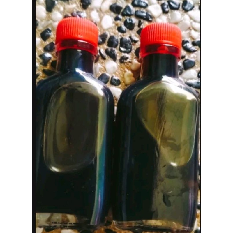 PATI MINYAK READY STOCK MINYAk TEBU HITAM/KZ MINYAK/MINYAK UNTA ...
