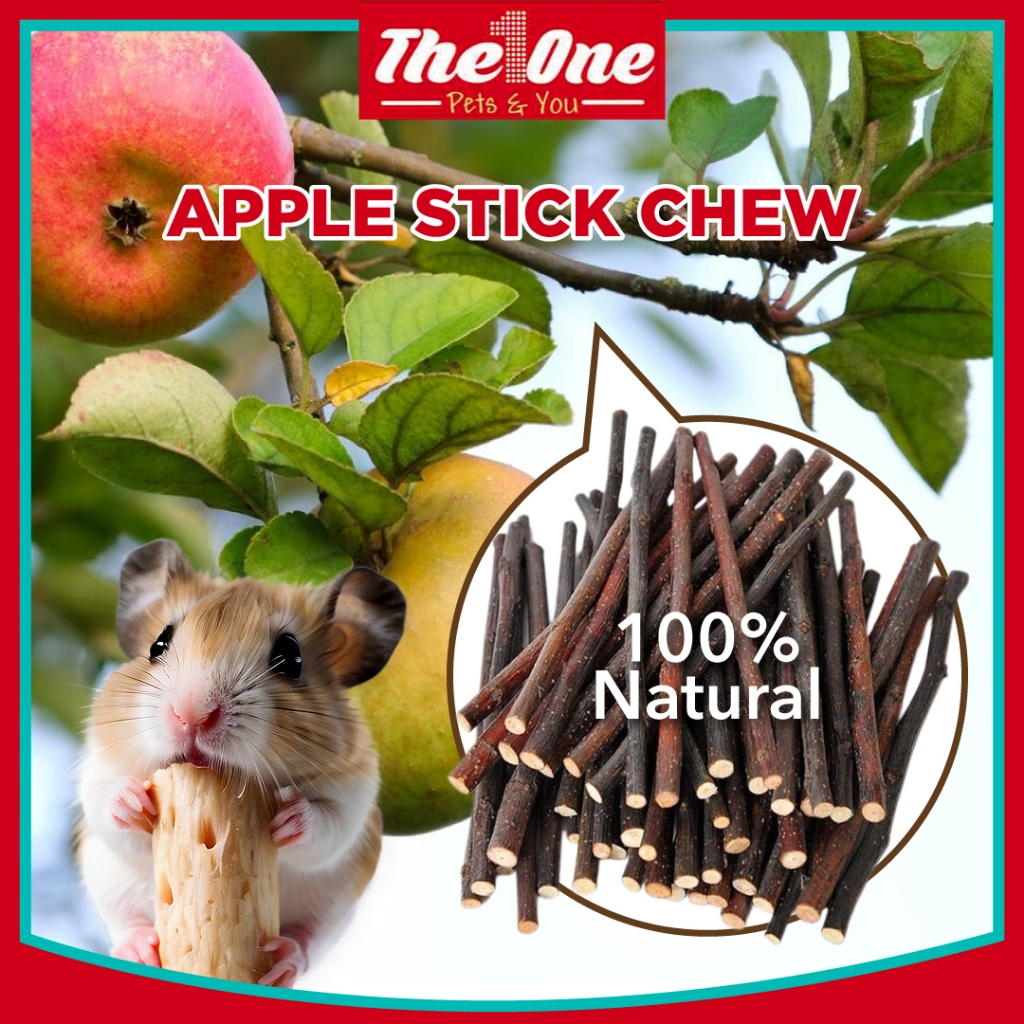 Hamster Small Animals Chew Toy Apple Stick Dental Care 苹果枝 磨牙棒 | Shopee ...
