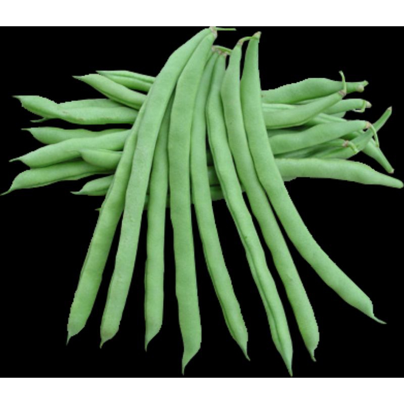 Kacang Buncis ( 15 Biji Benih ) | Shopee Malaysia