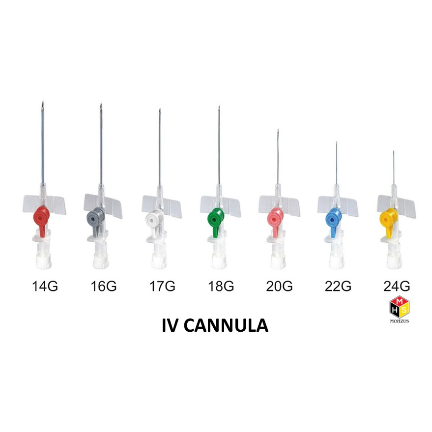 IV CANNULA WITH INJECTION VALVE - 1PC | Shopee Malaysia