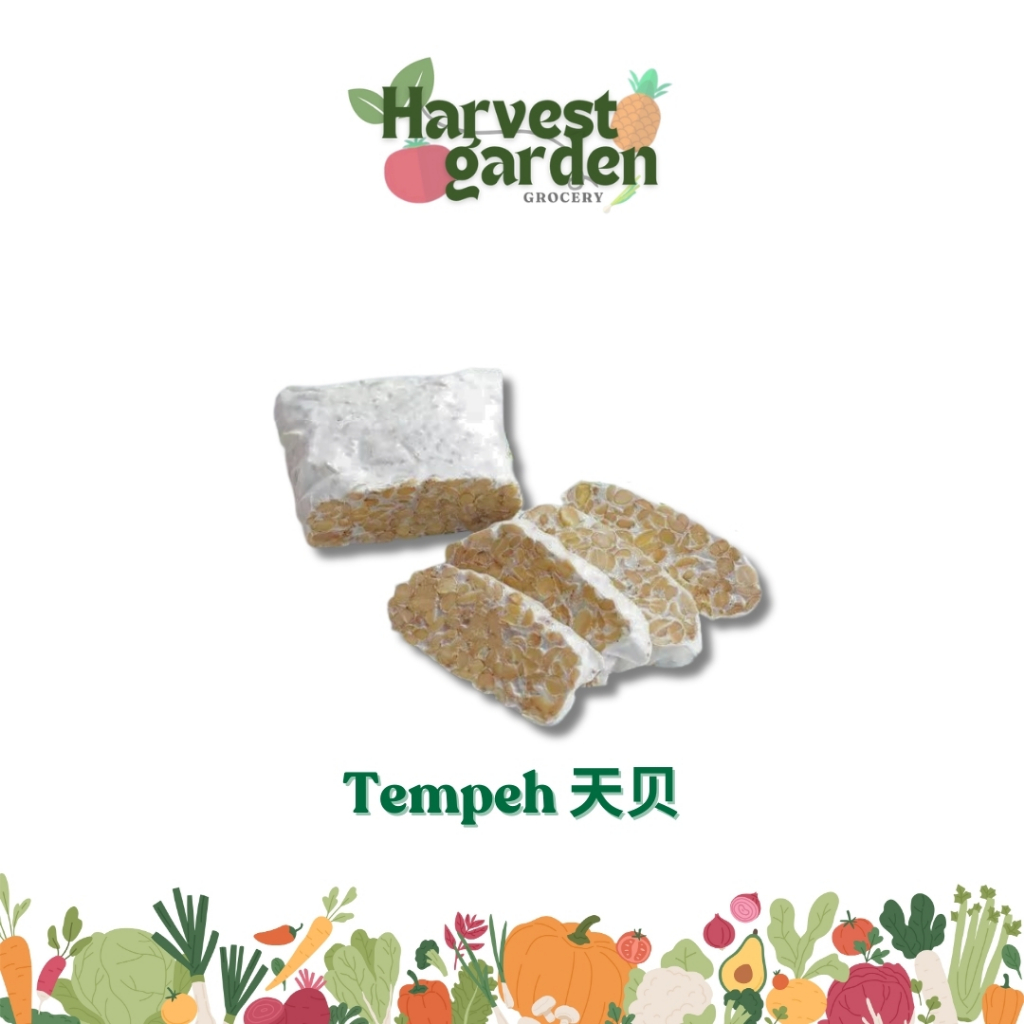 Tempeh // Tempe 天贝 1PKT | Shopee Malaysia