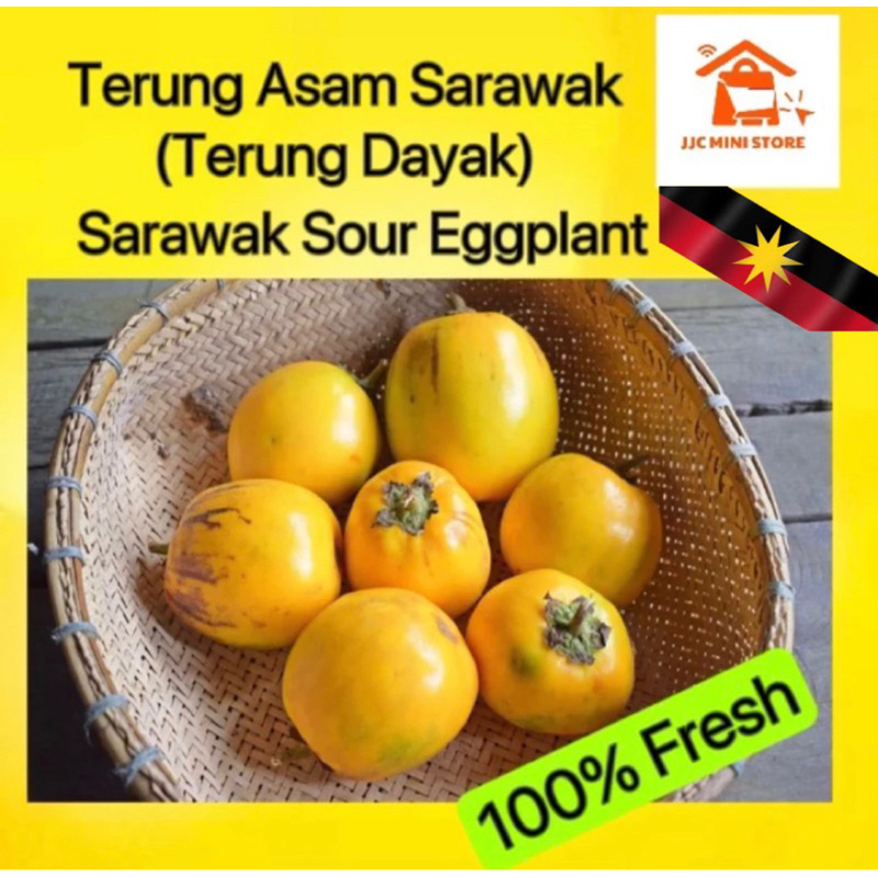 Terung Asam, Buah Terung Dayak, Sarawak Sour Eggplant， 砂拉越黄金茄、拉子茄 ...