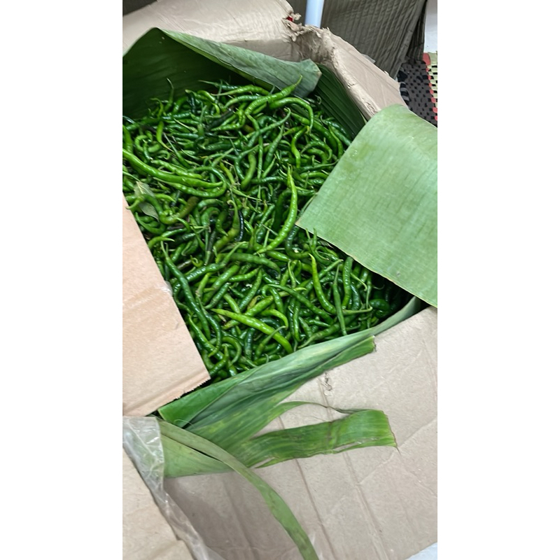 CILI KERITING HIJAU FRESH 500g | Shopee Malaysia