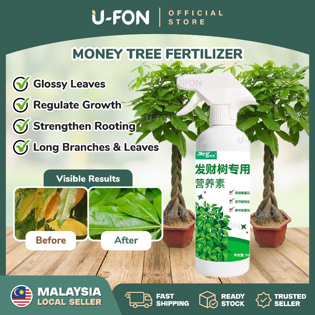 Money Tree Fertilizer Pachira Macrocarpa Special Nutrient Solution ...
