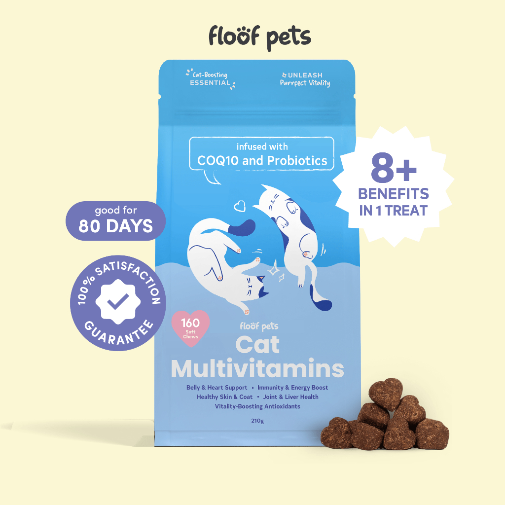 Floof Pets Cat Multivitamin Treat 160 Chew Pouch (Healthy Supplement ...