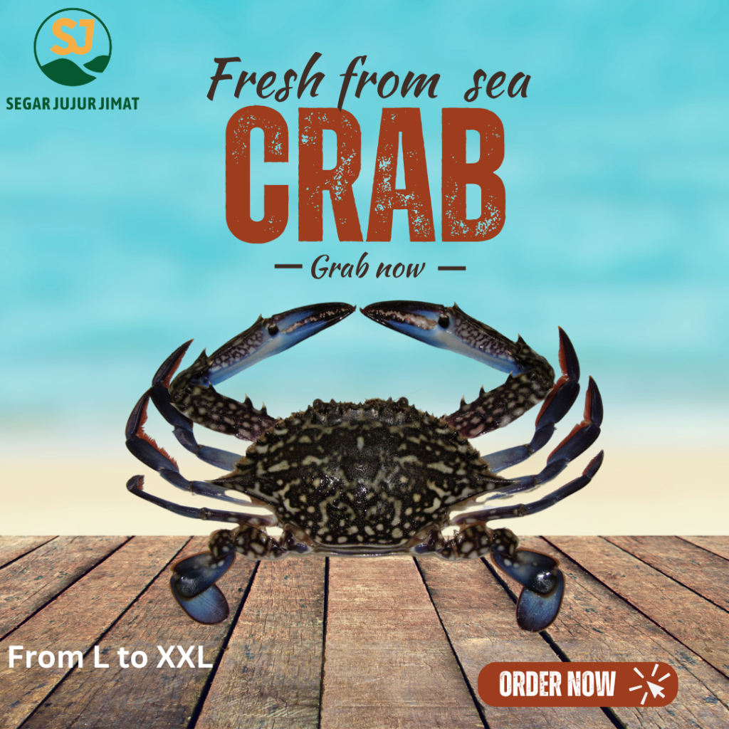 KETAM BUNGA 500G / 1KG KETAM BUNGA FROZEN FOOD KETAM SEAFOOD FROZEN ...