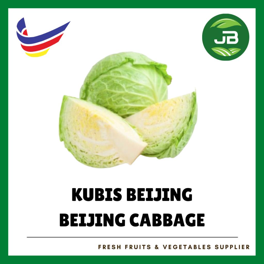 Kubis Beijing 北京包菜 1PCS BeiJing Cabbage | Shopee Malaysia