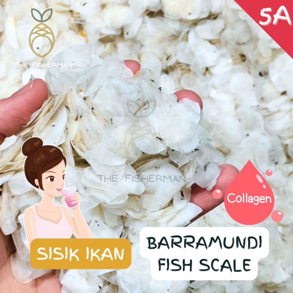 🐟 Dried Fish Scale Collagen 深海鱼鳞片 石甲魚鱗片 魚鱗凍 魚鱗 膠原蛋白 魚鱗 凍 膠原蛋白 魚鱗片大 魚鱗冻 ...