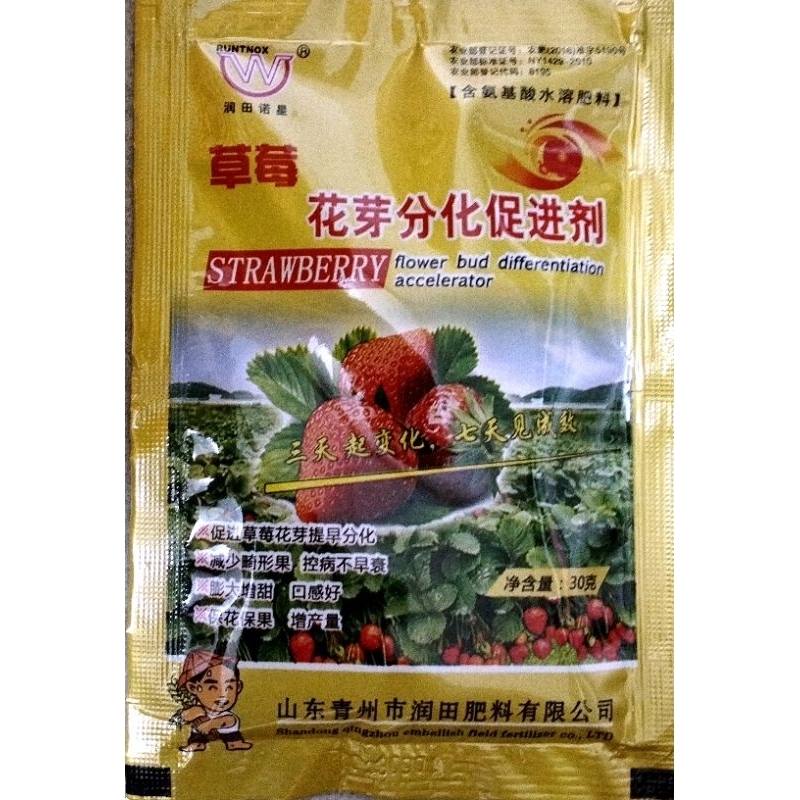 Strawberry Plant Fertilizer strawberry bud accelerator cytoxin Fertilizer | Shopee Malaysia
