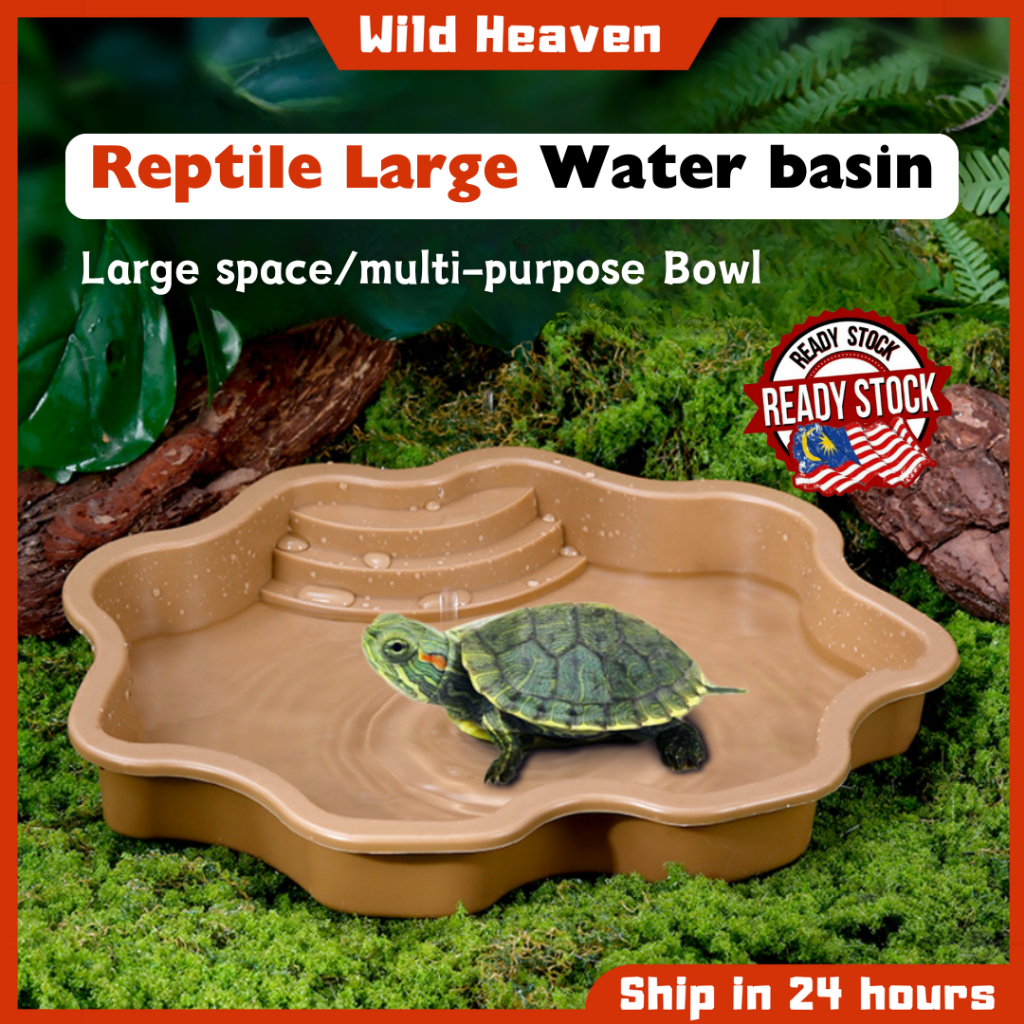 Reptile Large Water Bowl Turtle Food Dish Horn Frog Bathtub Accessories ...