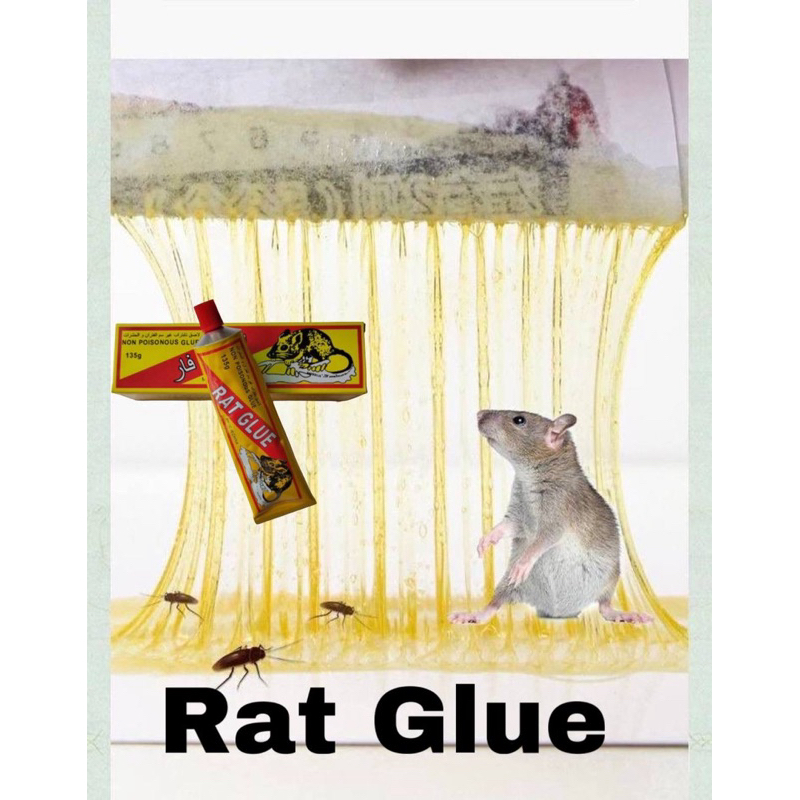 RAT GLUE NON POISONOUS GLUE Pembunuh tikus dan serangga Penghapus ...