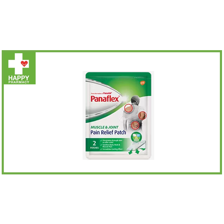 PANAFLEX Muscle & Joint Pain Relief Patch ( 2 Patches ) | Shopee Malaysia