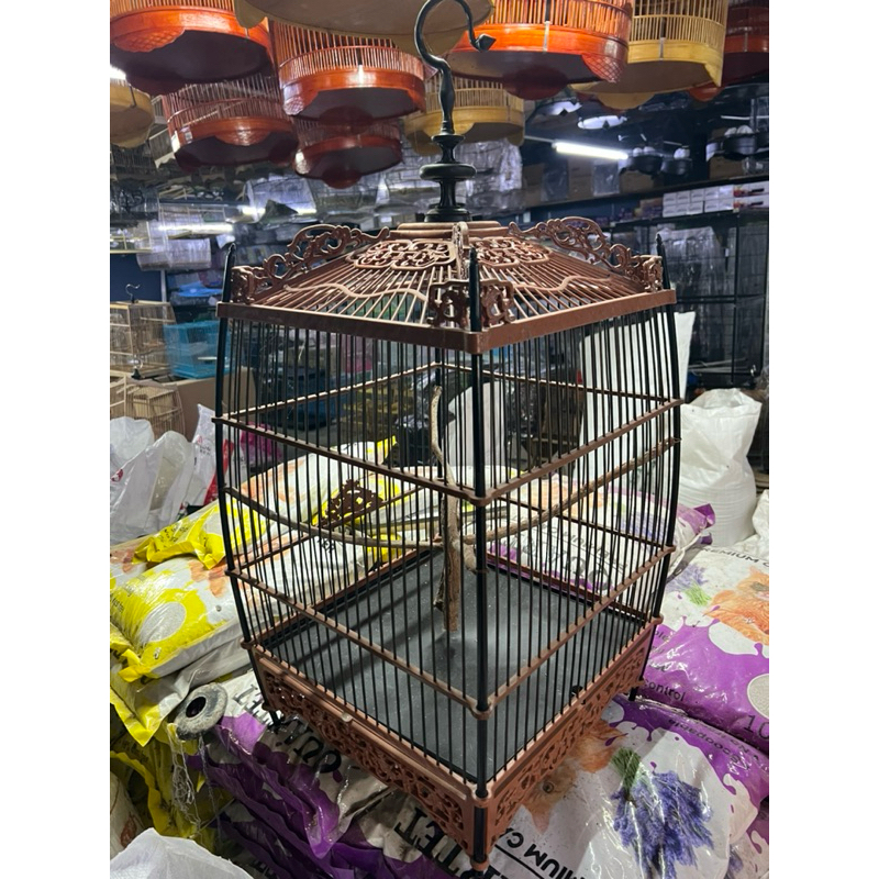 sangkar merbah jambul cantik/bergaya/mewah digantung (bilah buluh ...