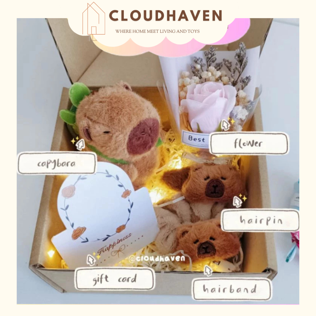 Surprise Gift Box Capybara 520 Valentine Gift set for Woman birthday ...