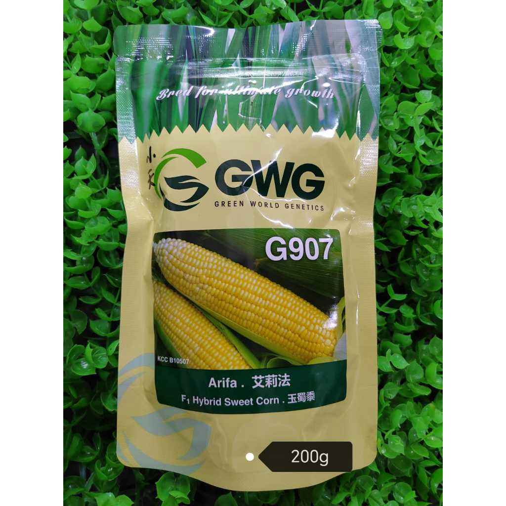 LECKAT GWG G907 ARIFA SEEDS / JAGUNG MANIS / SWEET CORN 200G | Shopee Malaysia